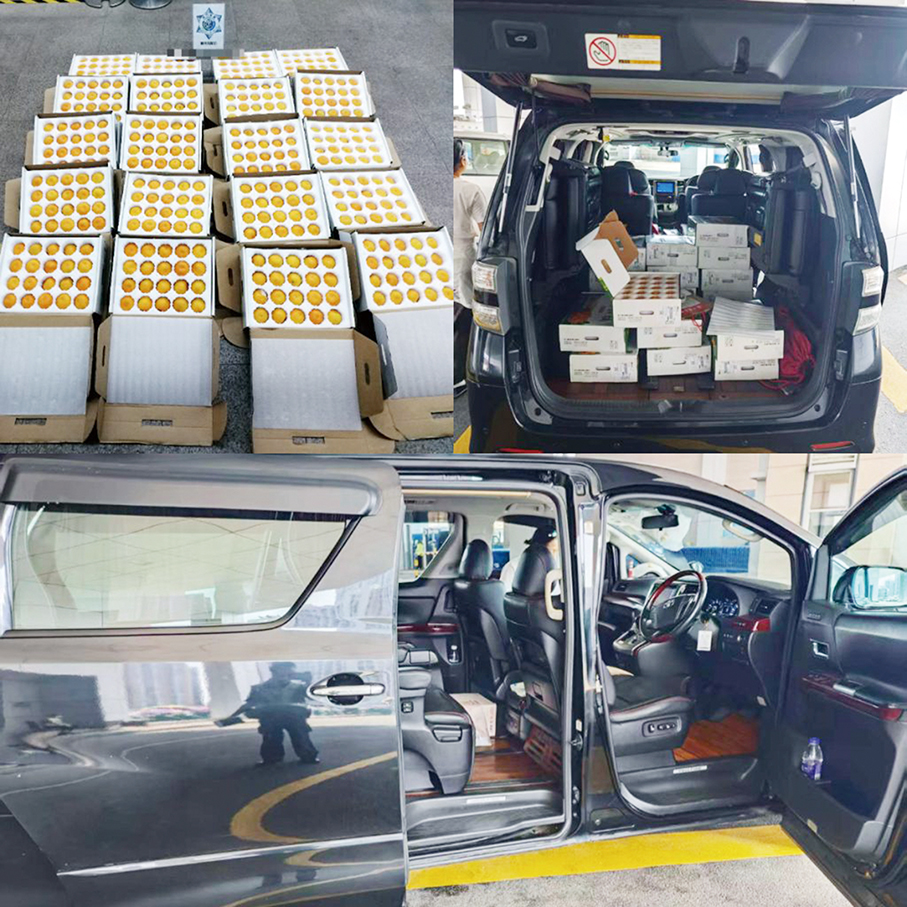 The Macau Post Daily